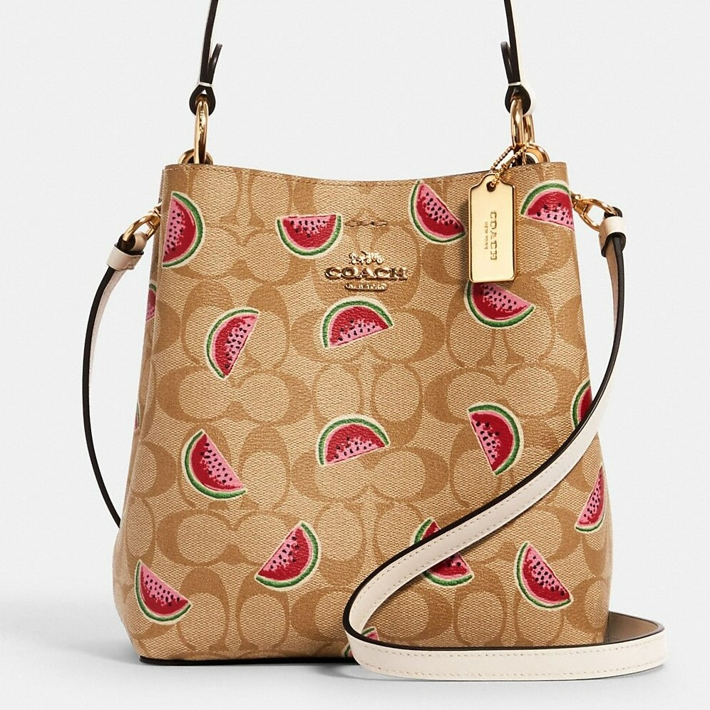 Túi Bucket Coach trái dưa hấu Small Town Bucket Bag In Signature Canvas ...